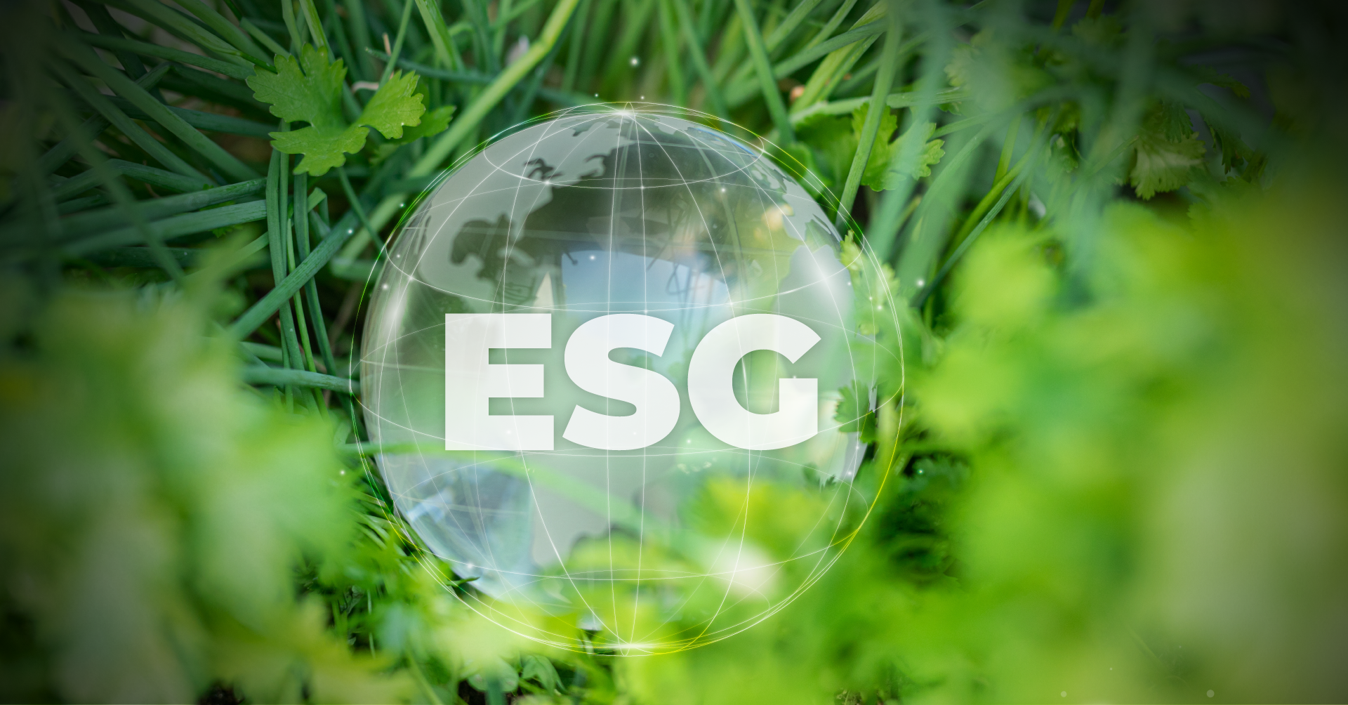 Greenwashing: entenda o que é e como combatê-lo - ESG Insights